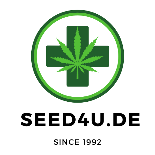 THC-Bruce Banner Autoflower I 3 Stück – seed4u